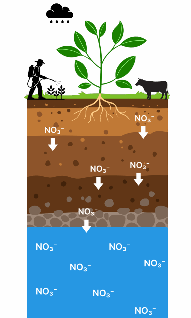 Nitrate in Groundwater: Understanding Sources, Movement, and How to ...