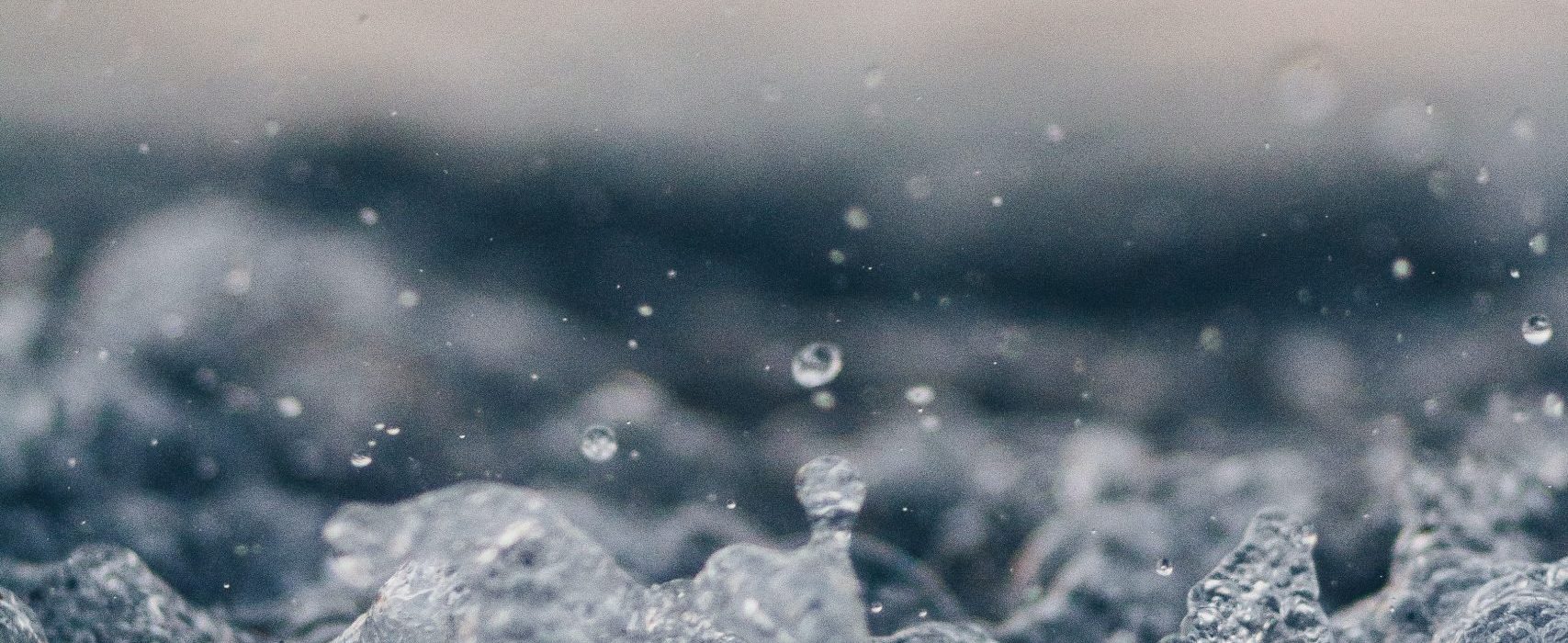 Home - Kings Water Alliance